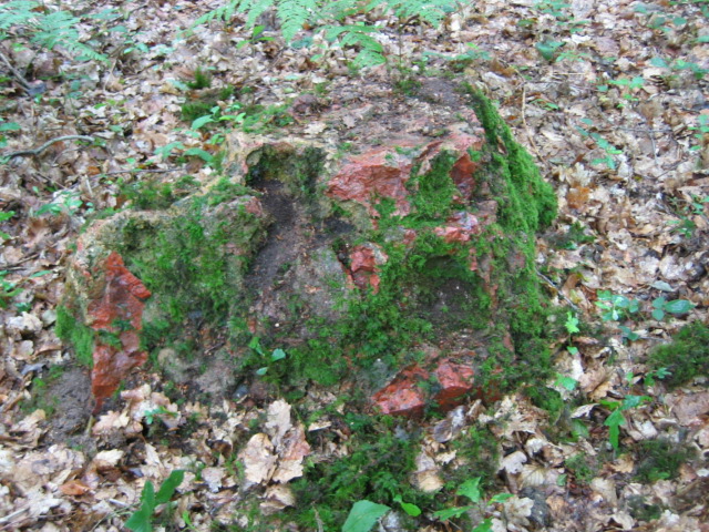 Curiosités du pays de Tronçais